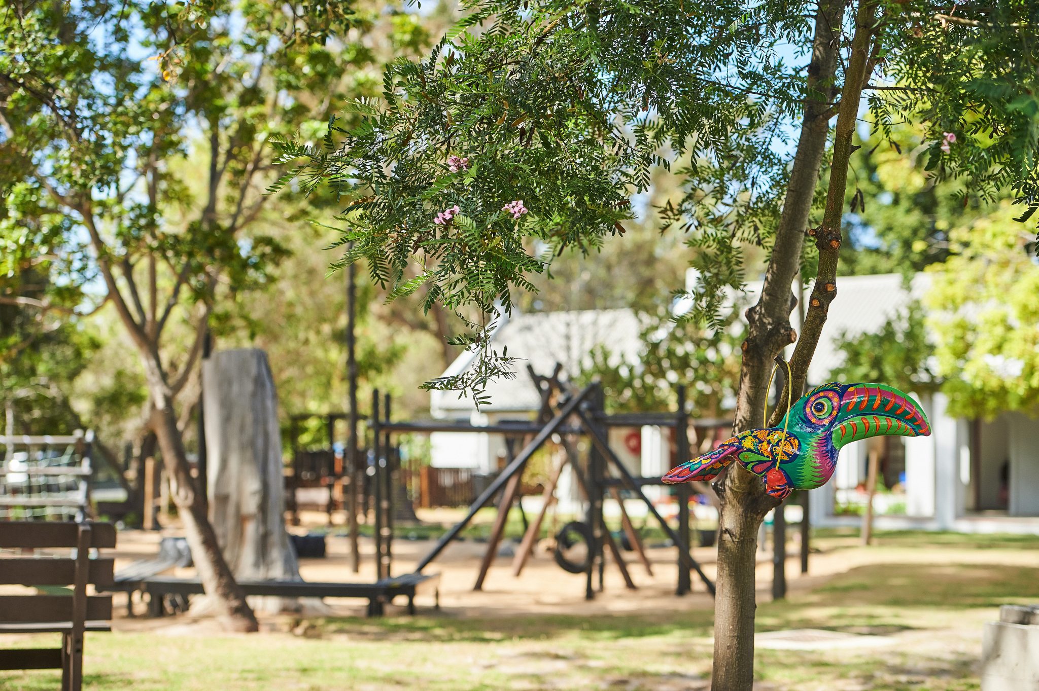 Hermanus | Generation Schools